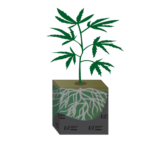 UPuper® CM 15PRO 6x6 6 inch rockwool grow cubes grow blocks